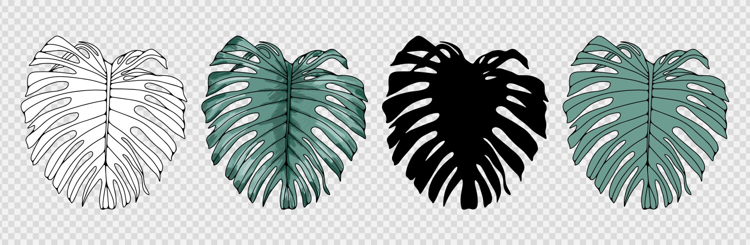 Monstera Outline Vector Images (over 3,500)