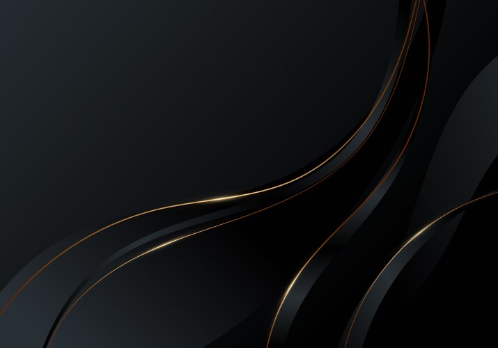Abstract black and gold curved waves layer Vector Image