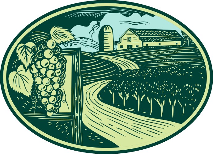 Grapes Vineyard Vector Images (over 22,000)