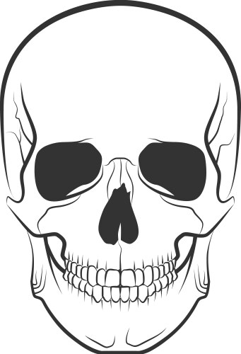 Skull Front Facing Vector Images (over 2,900)
