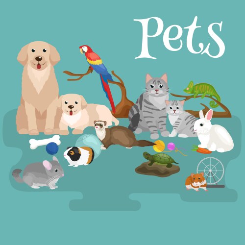 Home pets set cat dog parrot goldfish hamster Vector Image