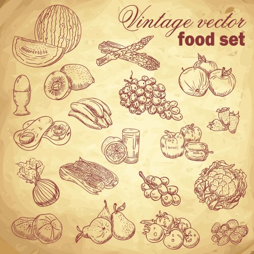 Vintage colorful apple harvest set Royalty Free Vector Image