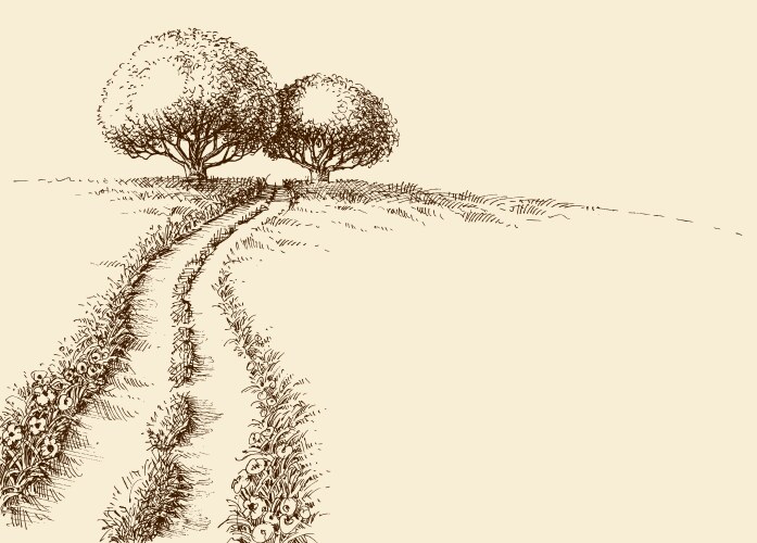 A path in the park sketch wallpaper Royalty Free Vector
