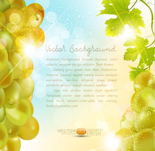 Red grape vine frame Royalty Free Vector Image