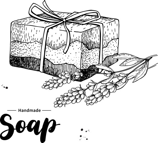Handmade natural soap hand drawn Royalty Free Vector Image