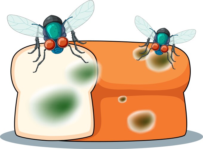 Decompose Vector Images (over 13,000)