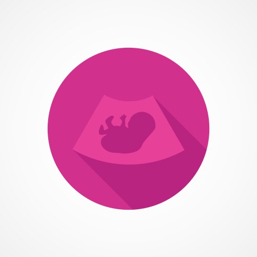 7 month fetus or embryo isolated icon pregnancy Vector Image