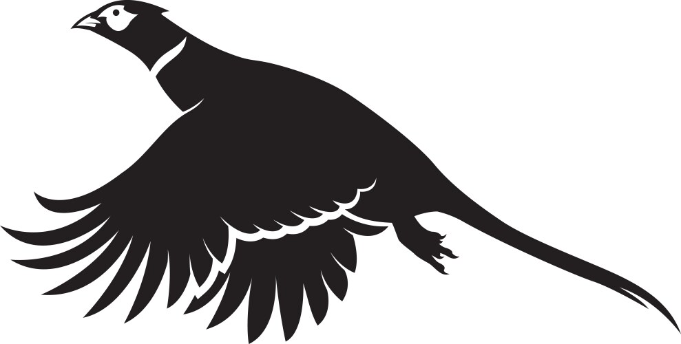 Pheasant hunting Royalty Free Vector Image - VectorStock