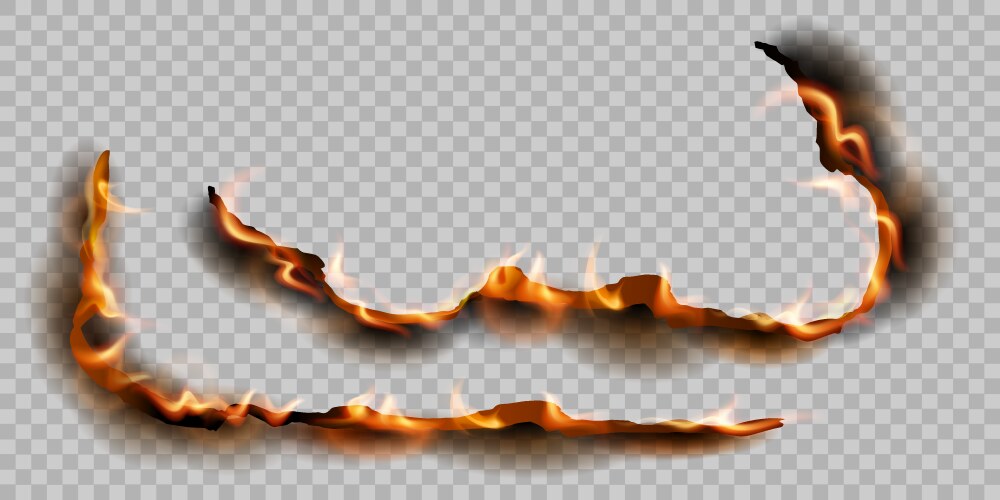 Ash Vector Images (over 22,000)