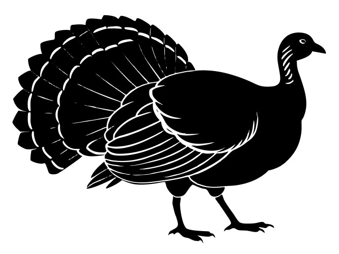 Wild Turkey Vector Images (over 1,700)