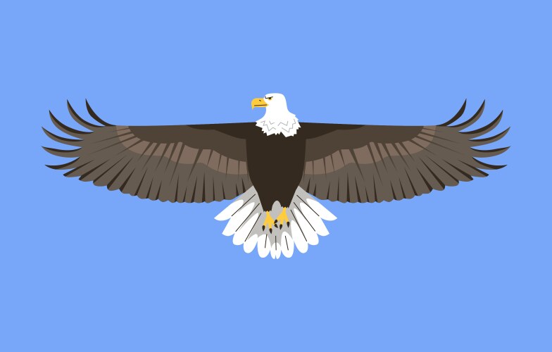 Large wild flying eagle with outstretched wings Vector Image
