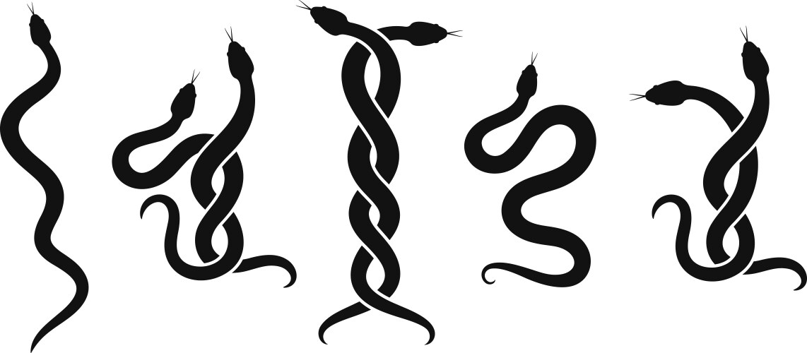 Snake Royalty Free Vector Image - VectorStock