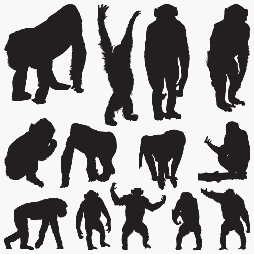 Ape Vector Images (over 35,000)
