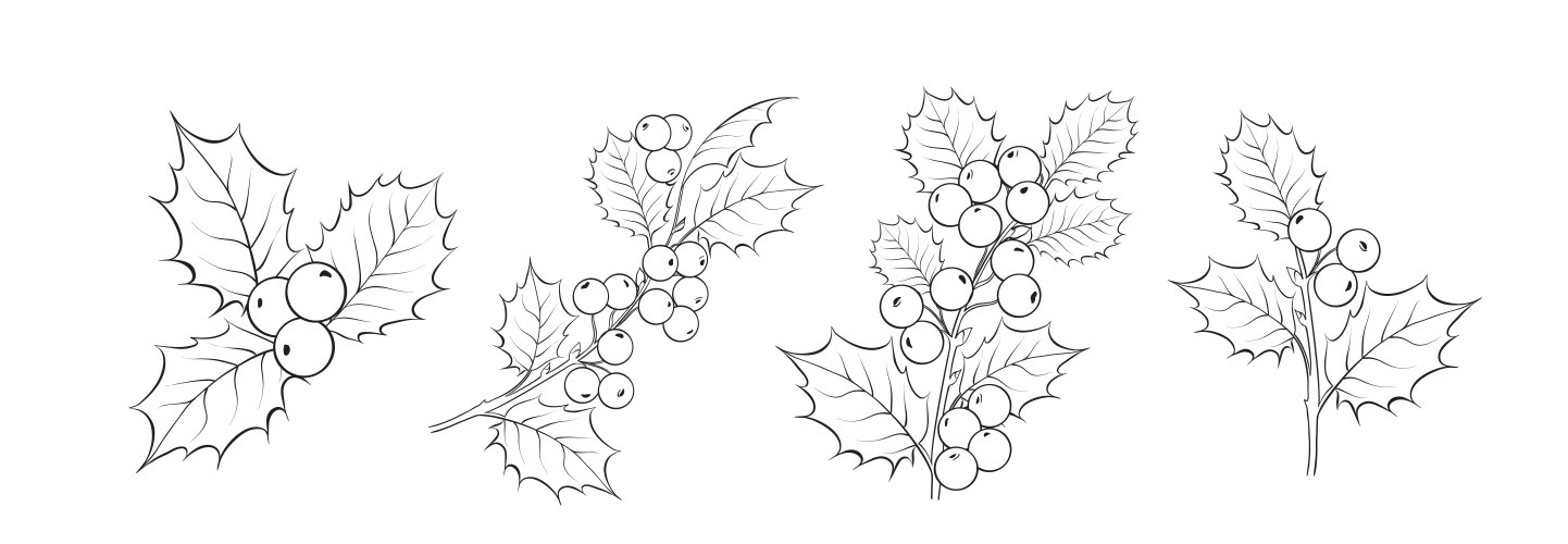 Mistletoe Outline Vector Images (over 1,600)