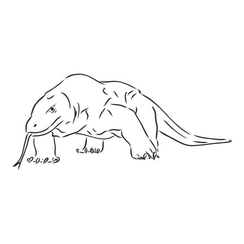 Varan Dragon Komodo Vector Images (78)