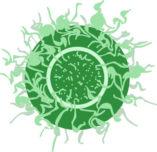 Graphic depiction of a spherical green virus Vector Image