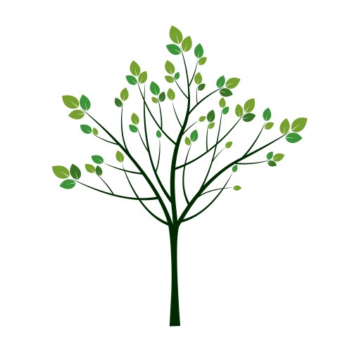 Spring Tree Vector Images (over 230,000)