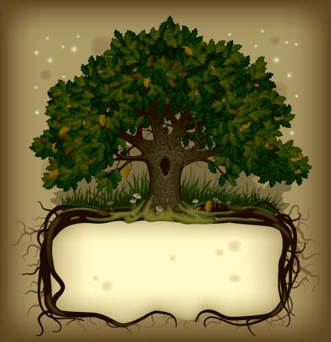 Tree Roots Black and White Vector Images (over 10,000)