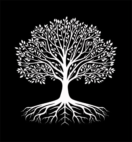 White old tree and roots Royalty Free Vector Image