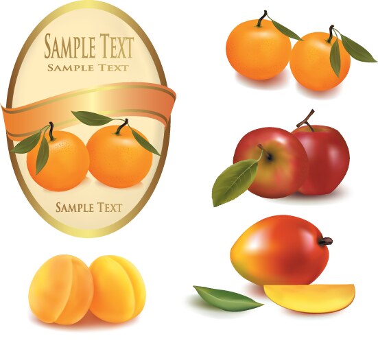 Fruit Label Vector Images (over 78,000)
