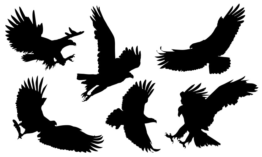 Attacking Eagle Vector Images (over 1,500)
