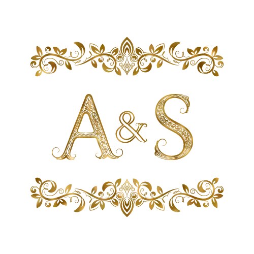 A w initials monogram logo design dry brush Vector Image