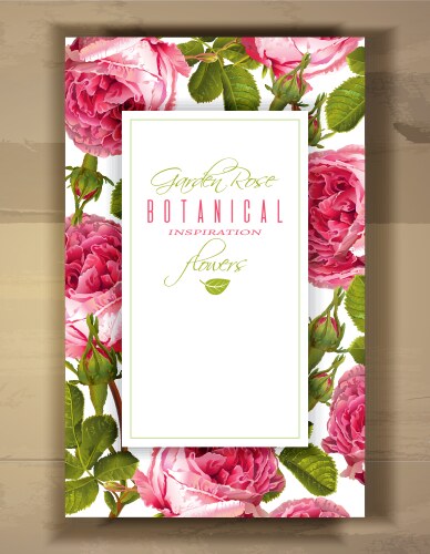 Banners with red roses Royalty Free Vector Image