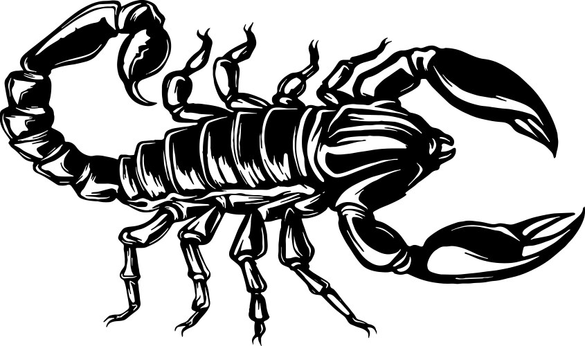 Scorpion Vector Images (over 7,700)