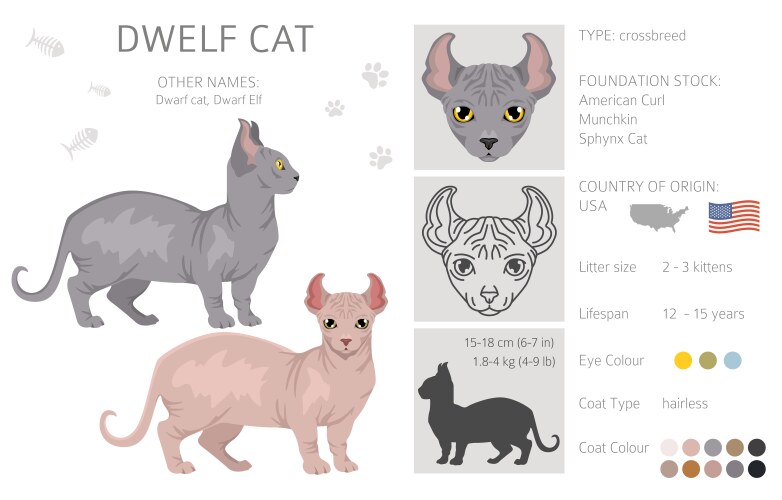 Donskoy don sphynx cat clipart all coat colors Vector Image