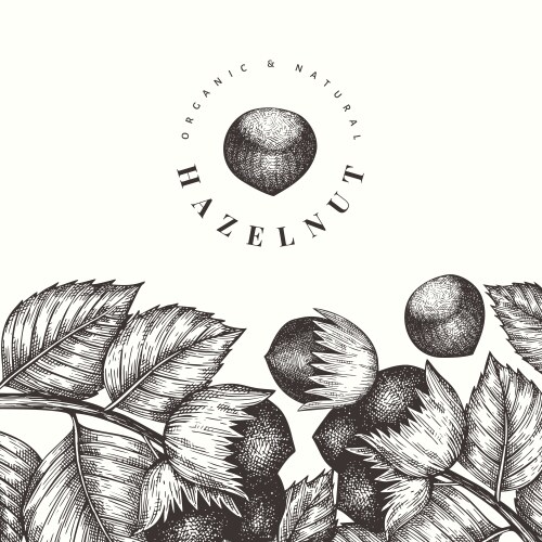 Hand drawn sketch hazelnut design template Vector Image