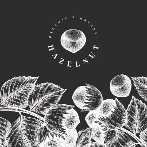 Hazelnut branches with nuts set on white Vector Image