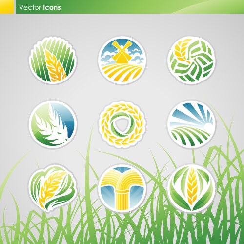 Wheat Grass Vector Images (over 5,700)