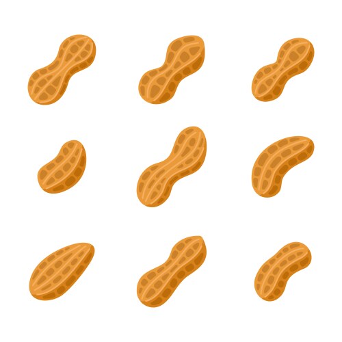 Peanuts in Shell Vector Images (over 2,800)