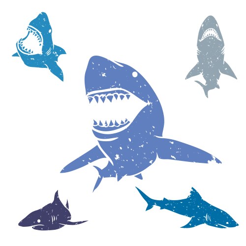 Shark Vector Images (over 36,000)