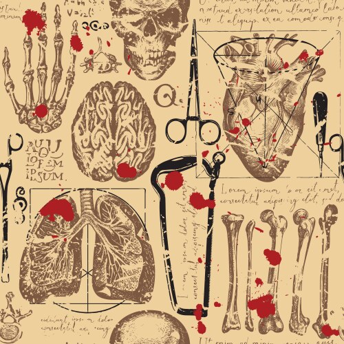 Anatomy seamless pattern with human skulls Vector Image