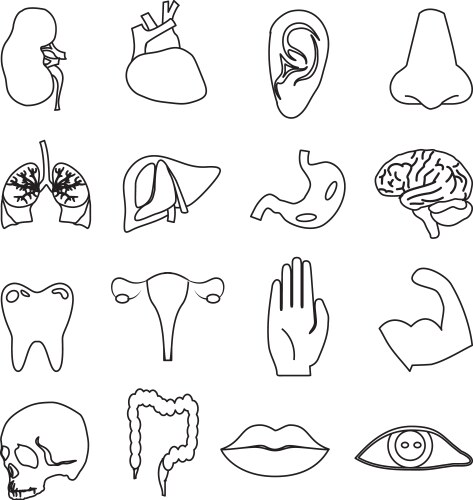 Human Body Parts Outline Vector Images (over 5,800)