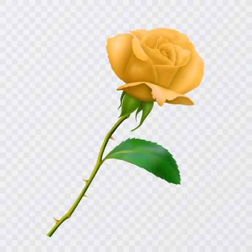 Long Stem Rose Vector Images (over 130)