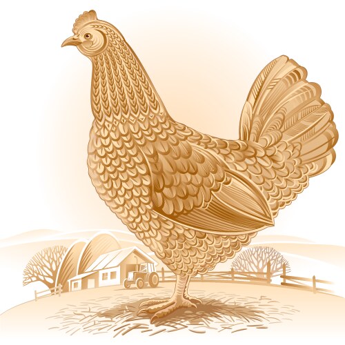 Chicken Vector Images (over 220,000)