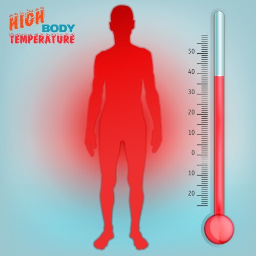 Human Body Temperature Regulation – Royalty-Free Vector | VectorStock