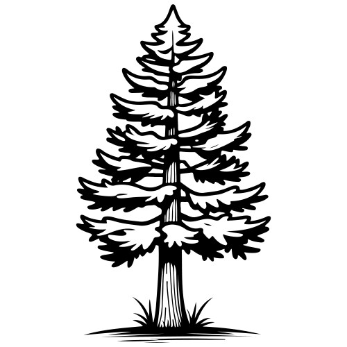 Engrave cartoon pine tree monochrome outline Vector Image