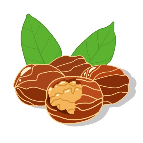 Walnuts icon cartoon style Royalty Free Vector Image