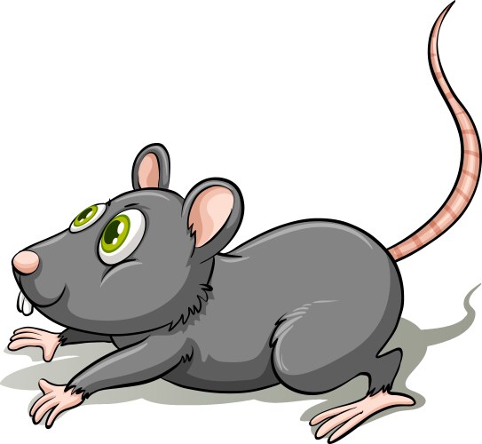 Cartoon rat with angry expression Royalty Free Vector Image
