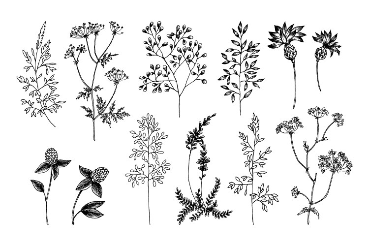 Plants Outline Vector Images (over 370,000)