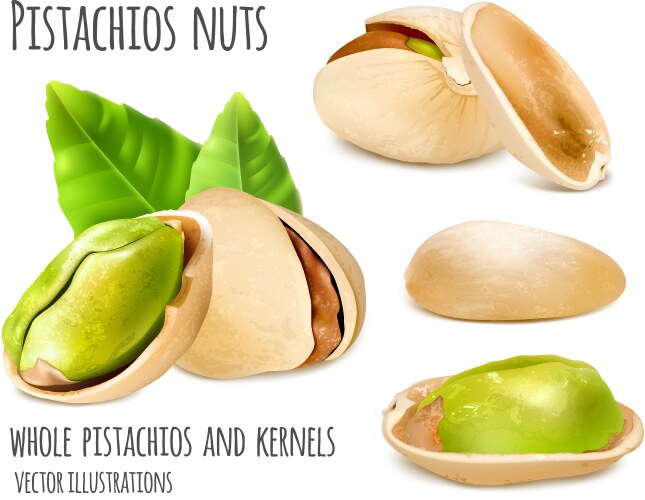 Pistachios icon cartoon style Royalty Free Vector Image
