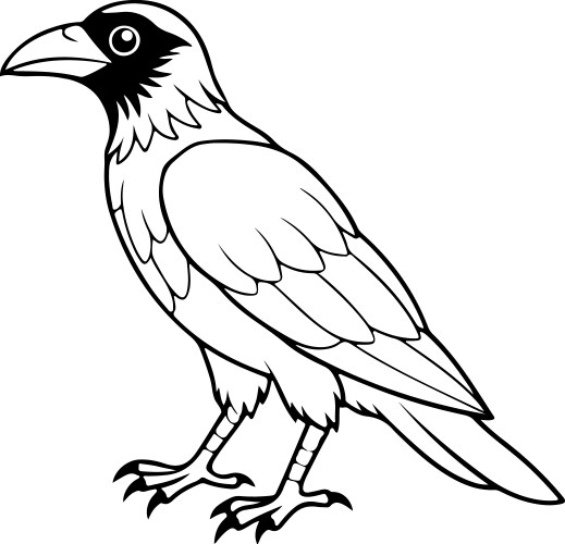 Crow typography calligraphy silhouette Royalty Free Vector