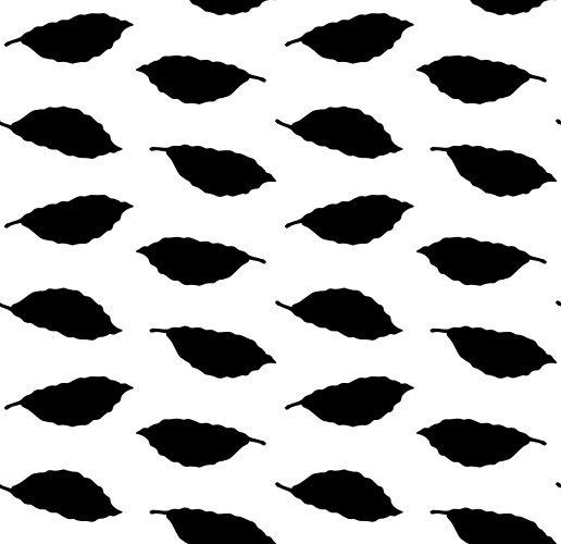 Bay Leaf Sketch Vector Images (over 760)