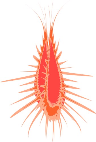 Spikey Vector Images (over 1,800)