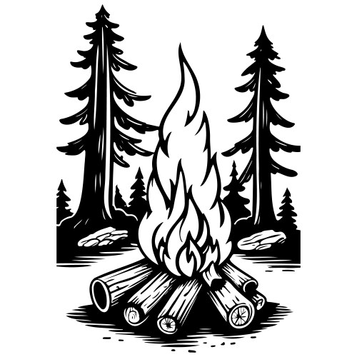 Isolated camp fire on white Royalty Free Vector Image