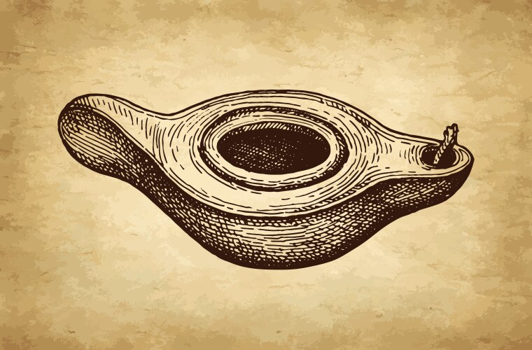 Magical oil lamp Royalty Free Vector Image - VectorStock