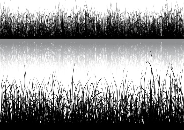 Silhouette grassland on background fir Royalty Free Vector